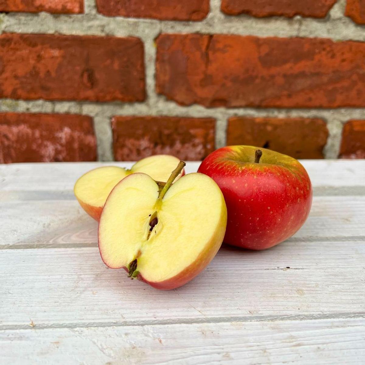 Bio Freya Apfel - 2.2 Kg Bequem Bio - Äpfel aus dem Alten Land bestellen